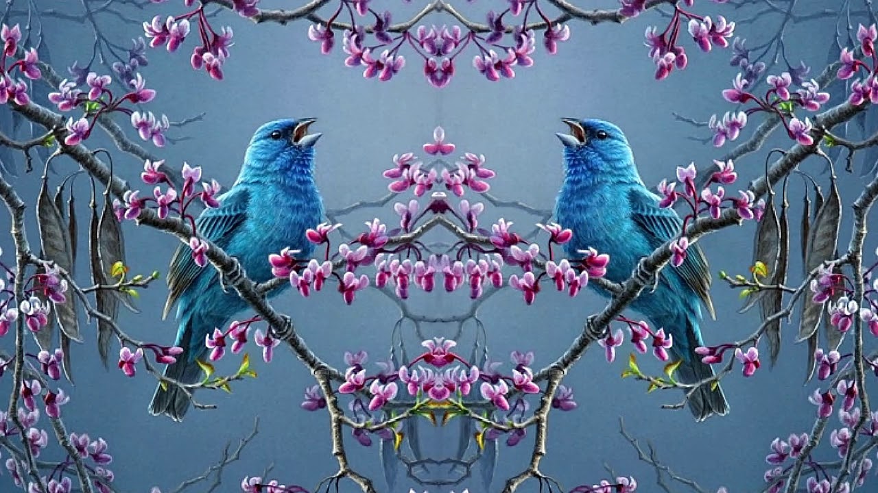 💖💖 Barratt Waugh 💖 A Time For Us 💖💖 - YouTube