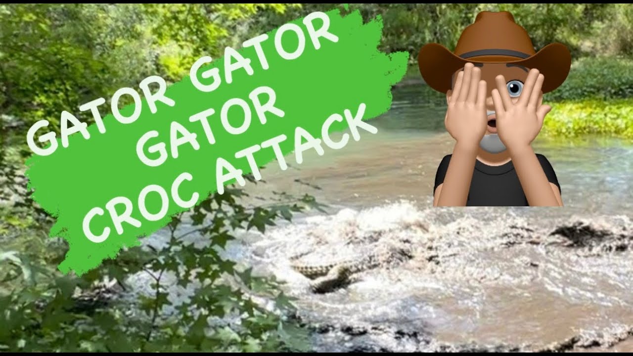 GATOR GATOR GATOR CROC ATTACK #getswamped #shareyourpassion #gators # ...