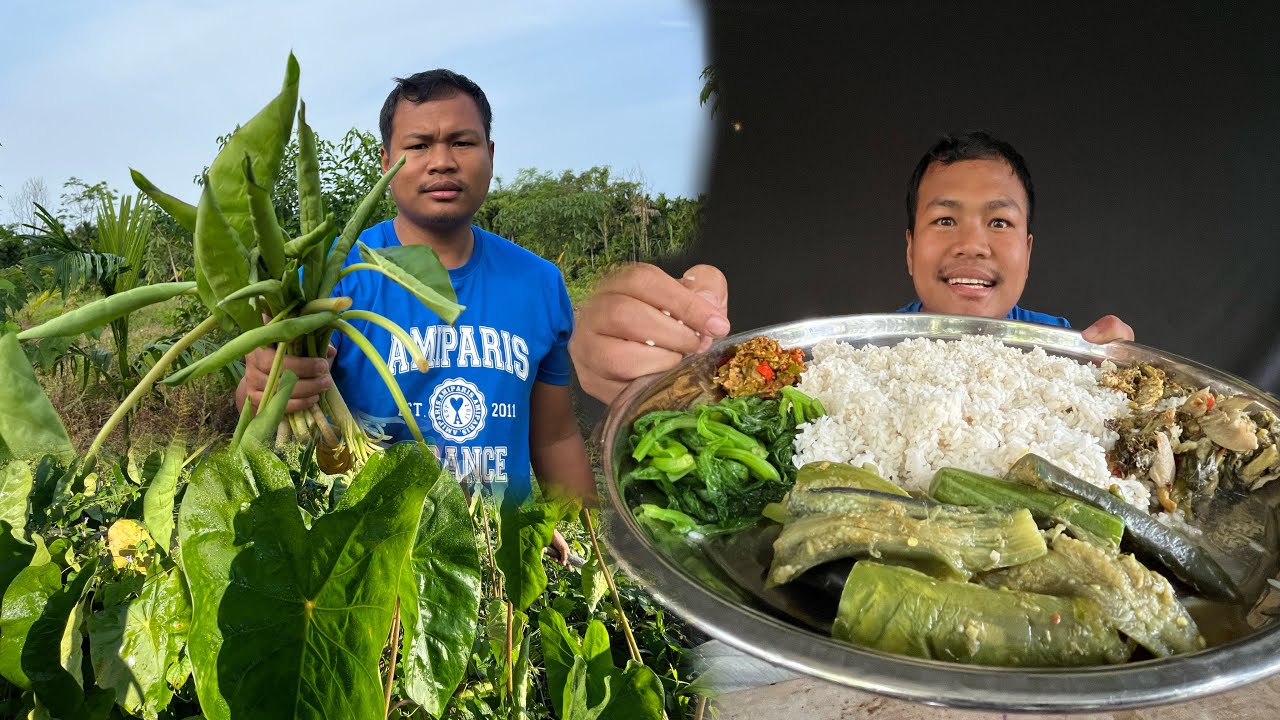 Wild Taro Plants Recipe ke sath lunch Kiya | Collecting Wild Taro ...