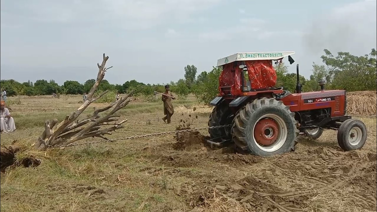 tree cutting fastest amazing work with Dabang tractor - YouTube