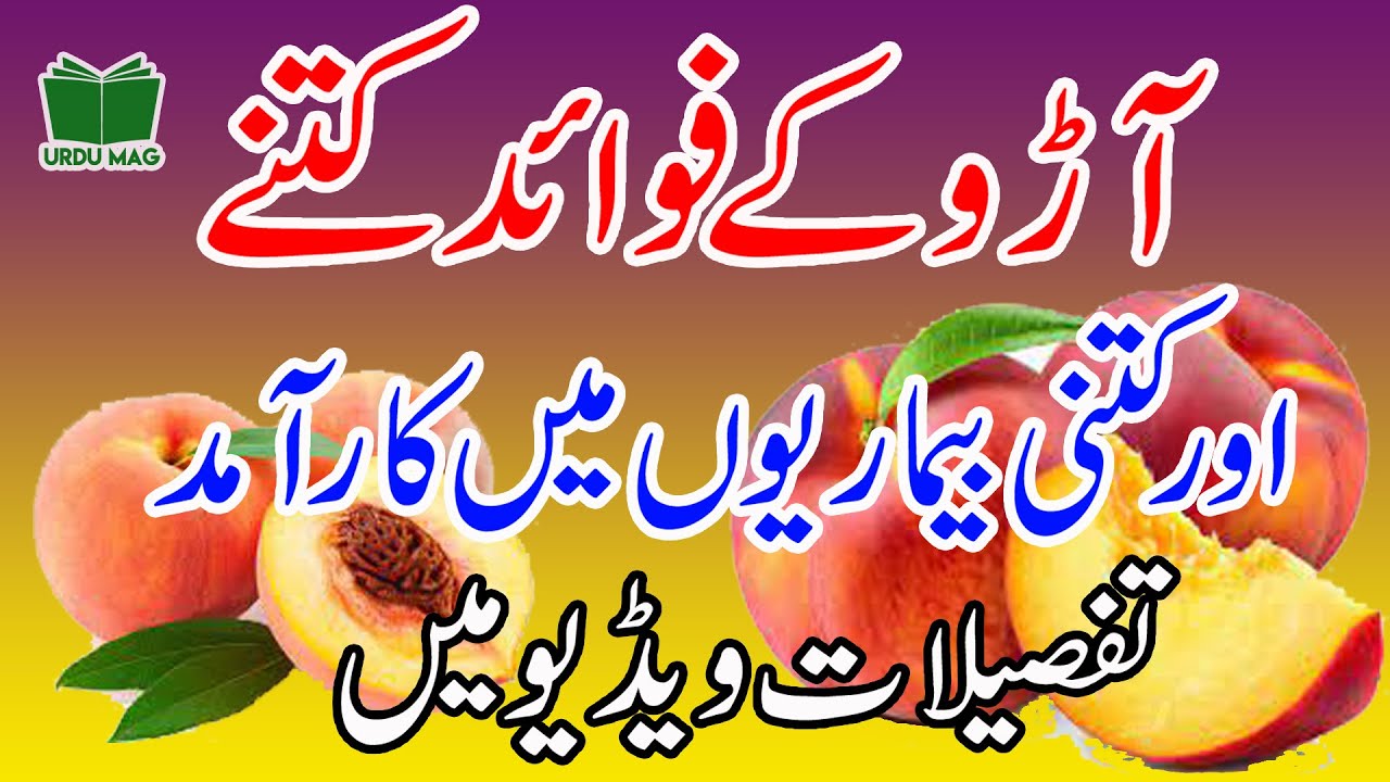 aroo ka sharbat (peach drink)||aaroo ki taseer||aroo k faiday||aaroo k ...