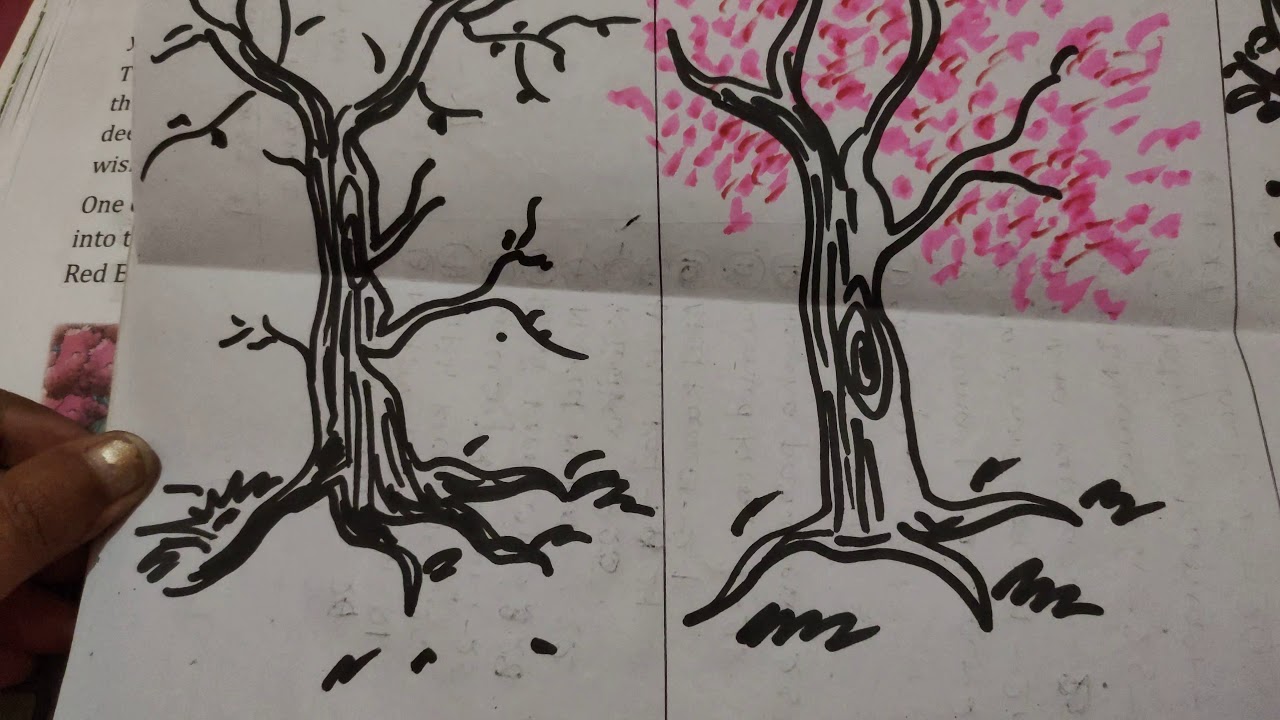 The Red bud tree 🌲 a story for class 1🌷🌻🙂🌹🌝 - YouTube