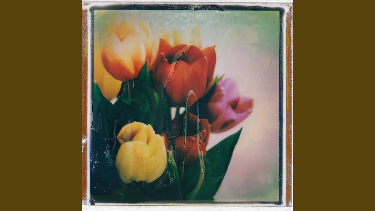 tulips (feat. Adam Panek) - YouTube