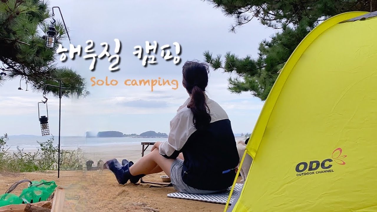 해루질로 식량 자급자족에 도전하는 솔로캠핑잡느냐 굶느냐 그것이 문제로다🥹 탁 트인 오션뷰 무료캠핑장에서 나홀로캠핑
