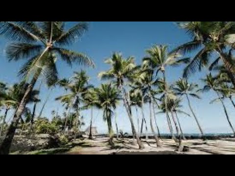 Goodbye Coconut Wireless - YouTube