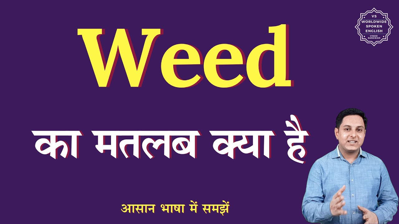 Weed meaning in Hindi | Weed ka matlab kya hota hai | English to hindi ...