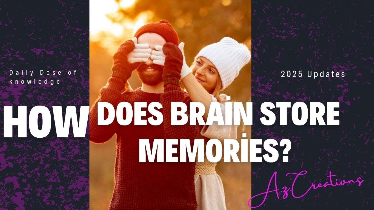 How does the brain store memories? Types of memories | How brain saves ...