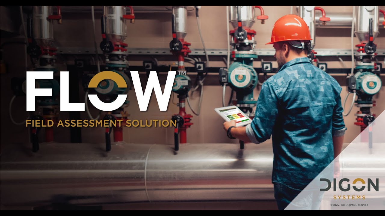 DIGON FLOW Overview - YouTube