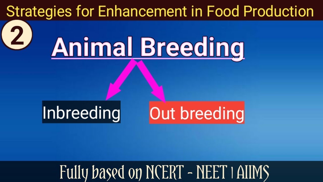 Animal Breeding | Inbreeding and Outbreeding | Strategies for ...