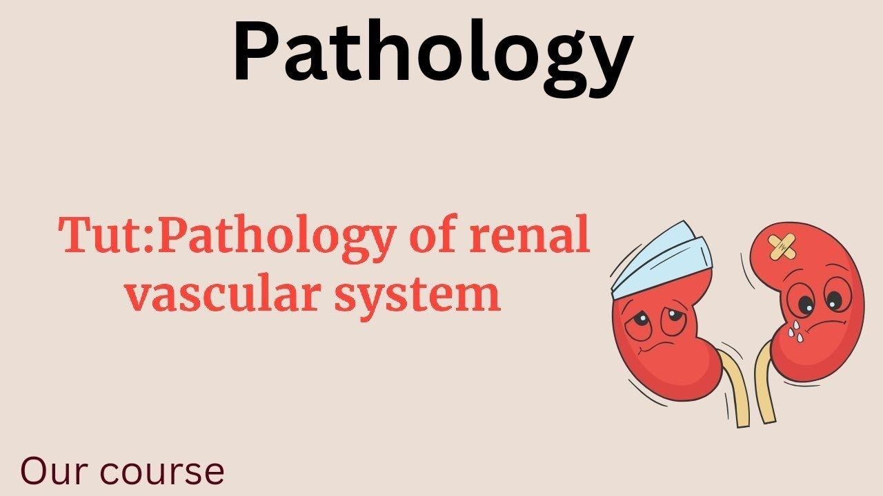 Tut1:Pathology of renal vascular system (Renal 42)🍒 - YouTube