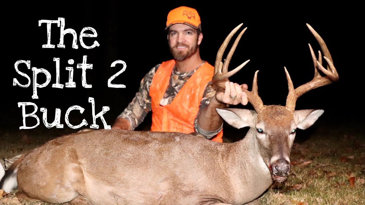 Hunting a Mature Buck - YouTube