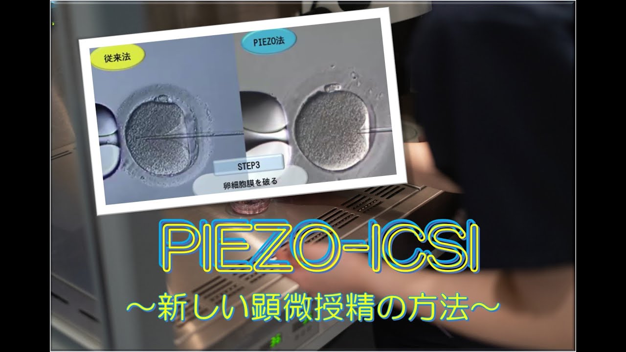 第23回PIEZO-ICSI(新しい顕微授精) MP湘南勉強会 - YouTube