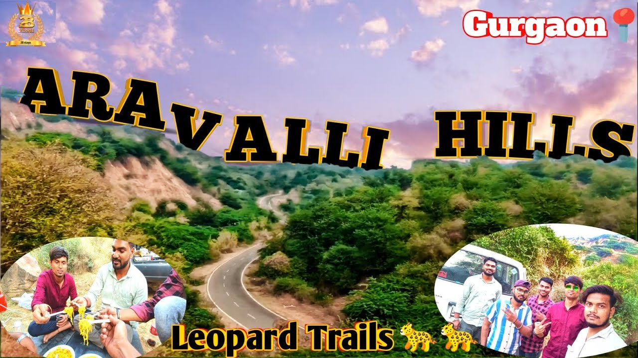 Aravalli Hills Gurgaon📍Place to visit in Gurgaon | Aravali hills ...