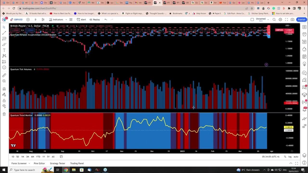 How to use the Time Accurate Renko for Tradingview - YouTube