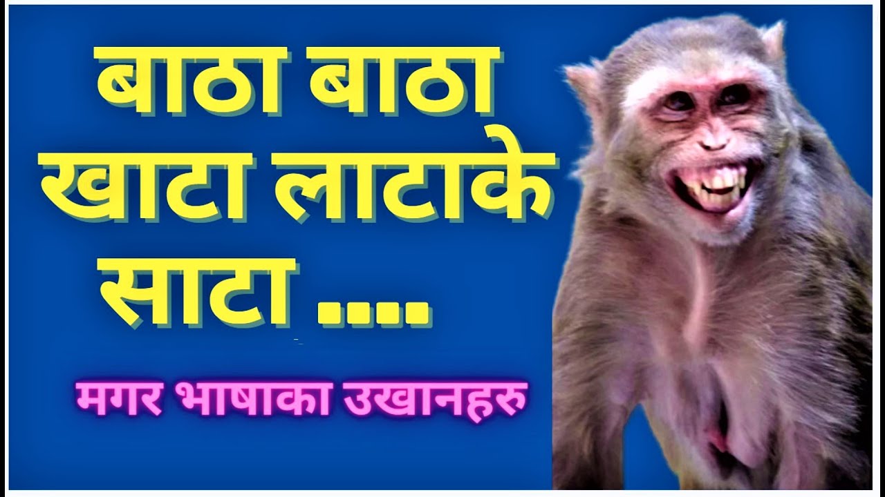 मगर भाषाका उखान् टुक्काहरु सिकौ//Magar Language Proverbs//Magar ...