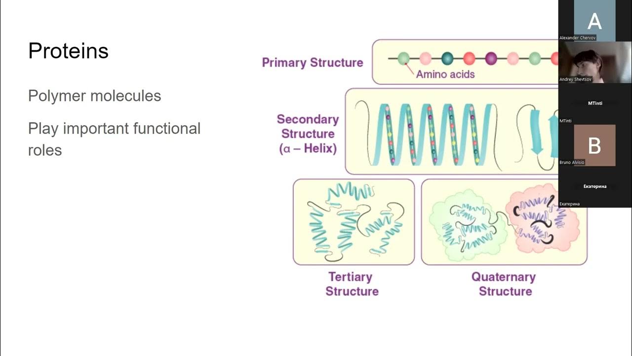 Andrey Shevtsov "Introduction to CAFA5 Protein function prediction Kaggle competition" - YouTube