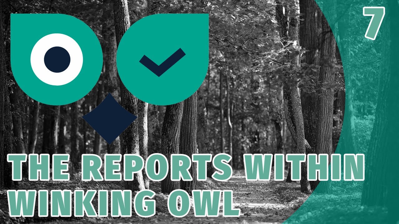 The reports within Winking Owl - YouTube