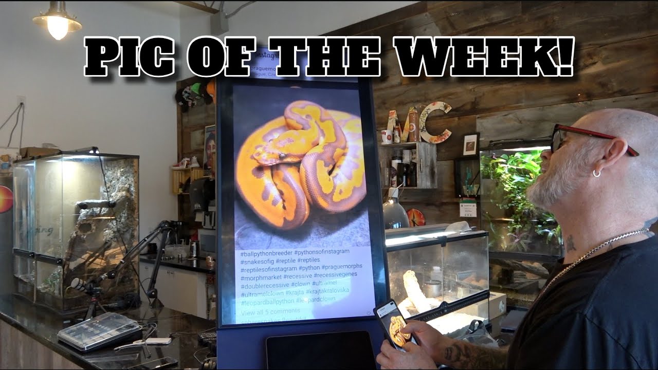 Pic Of The Week! Mind-blowing Ultramel Clowns! - YouTube