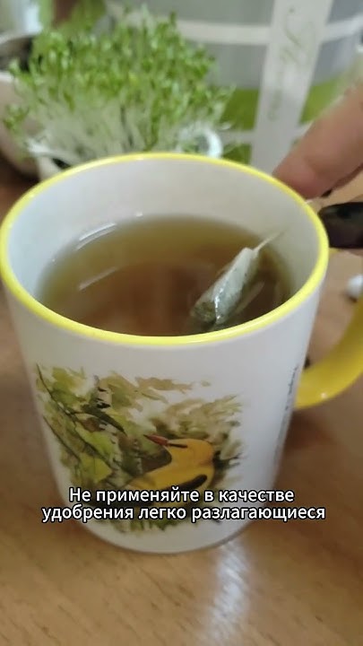 Как избавиться от мошек в квартире - натуральный спрей на пиретруме # ...