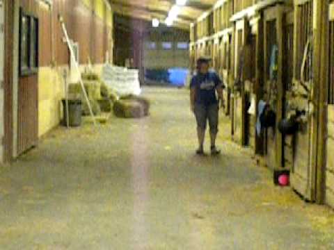 Horses running out of the barn - YouTube