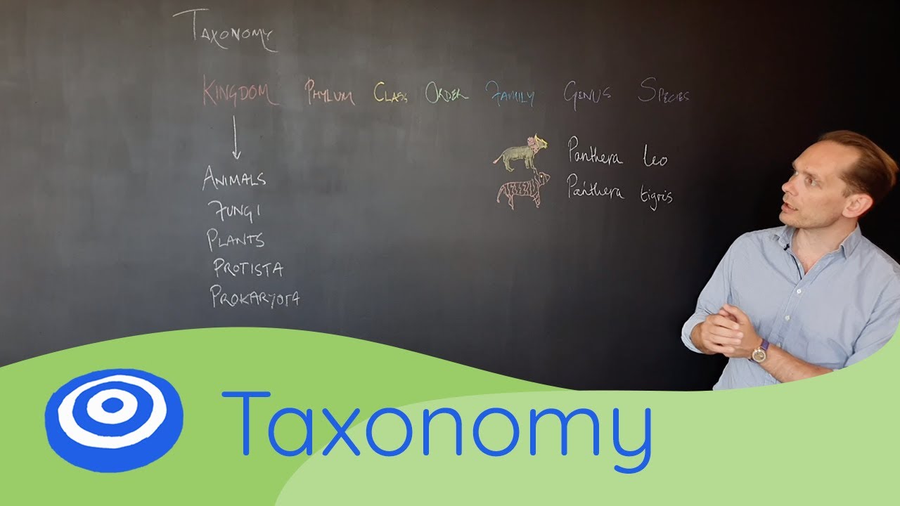 Taxonomy - GCSE science, Biology (9-1) - YouTube