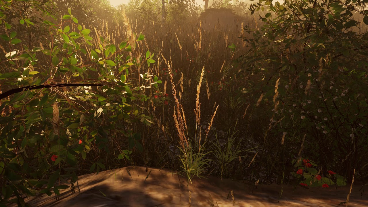 background static camera 2 - YouTube