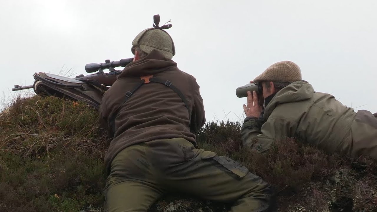 Red Stag Stalking in the Scottish Highlands - YouTube