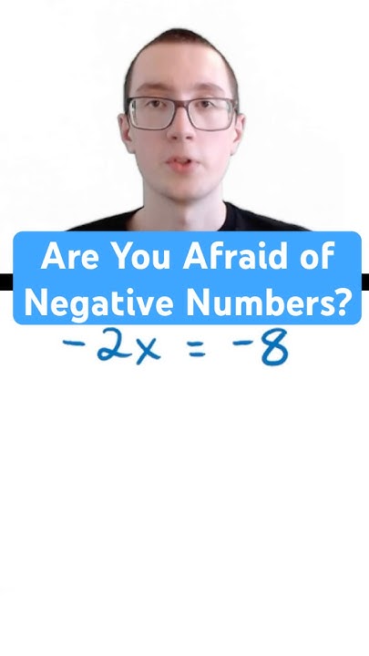Are You Afraid of Negative Numbers? - YouTube