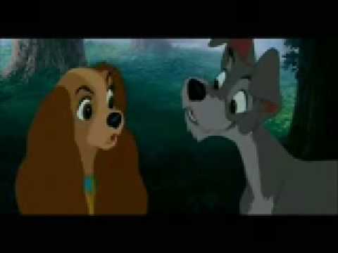 A Life's Choice Fandub Lady and the Tramp - YouTube
