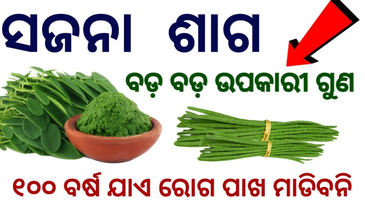 Sajana saga ra upakari guna | Health benefits of drumstick leaves in ...
