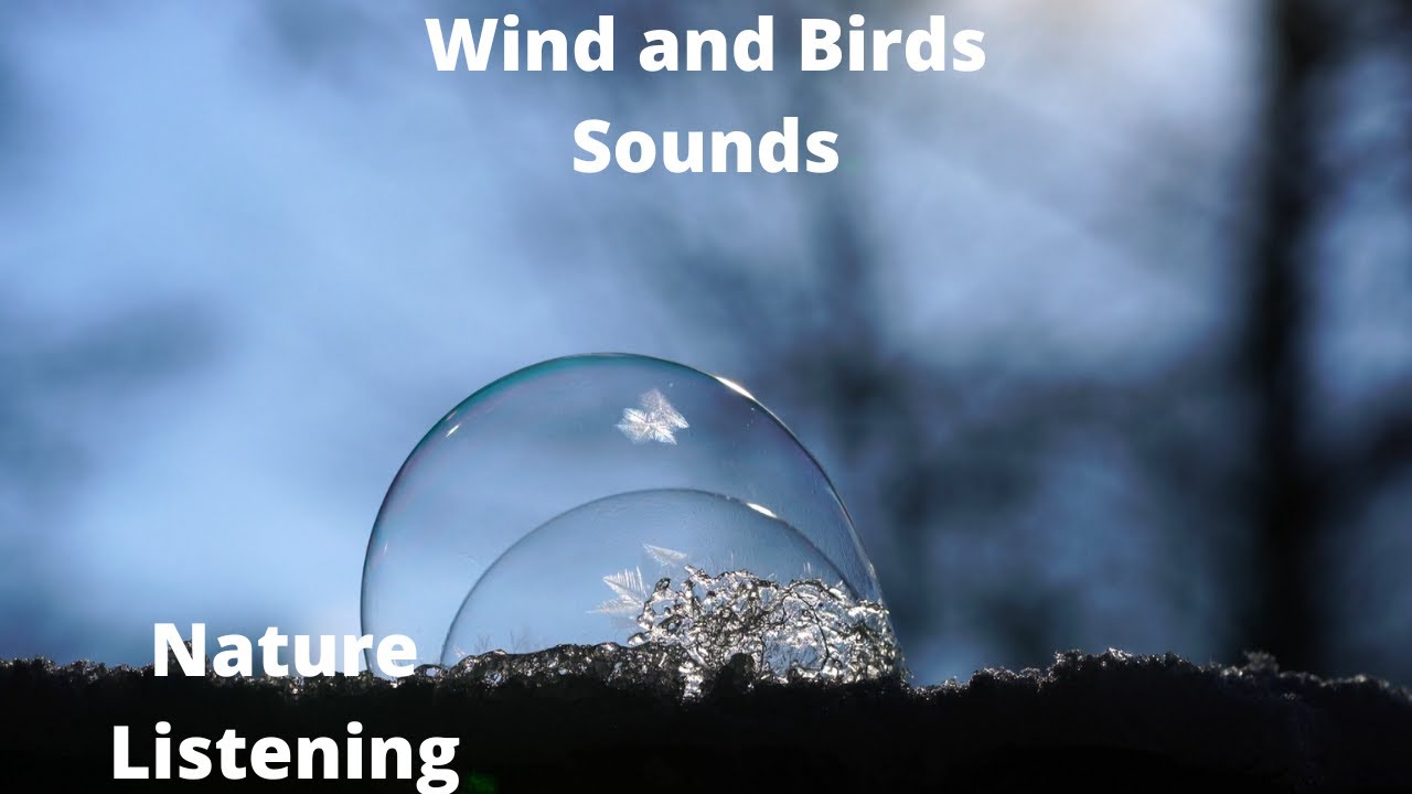 Wind and birds sounds, wind sounds for sleeping - YouTube