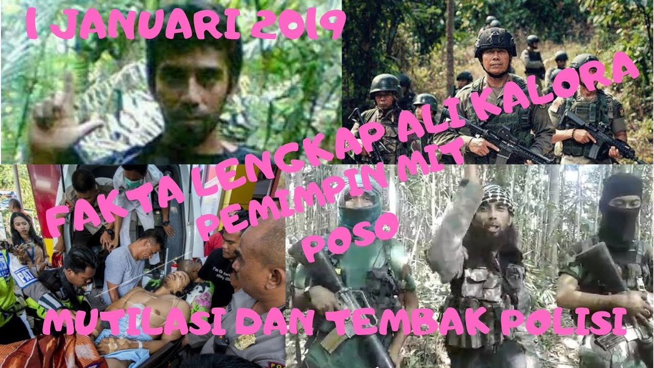 FAKTA LENGKAP Ali Kalora Pemimpin MIT Poso , Mutilasi Warga dan Tembak ...