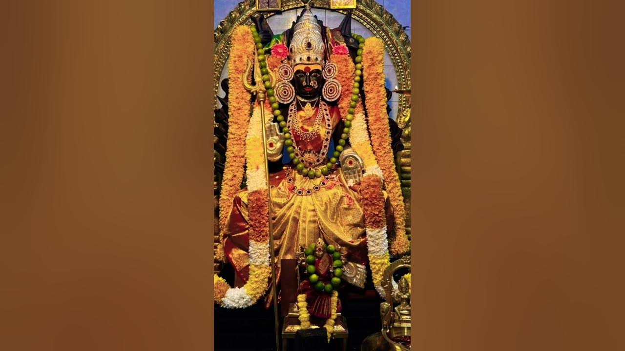 jay mata di jay mata di#trending #video #song #viralvideo#ytshorts #pratham_mudgal#music#status ...