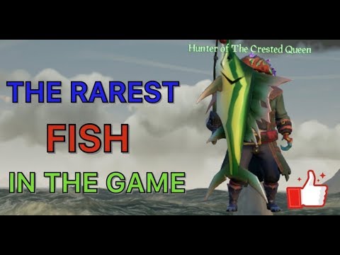 Catching the rarest fish in sea of thieves fishing guide - YouTube