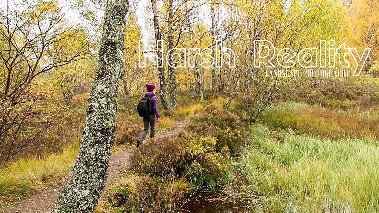 The Harsh Reality of Landscape Photography | You're Not Alone - YouTube