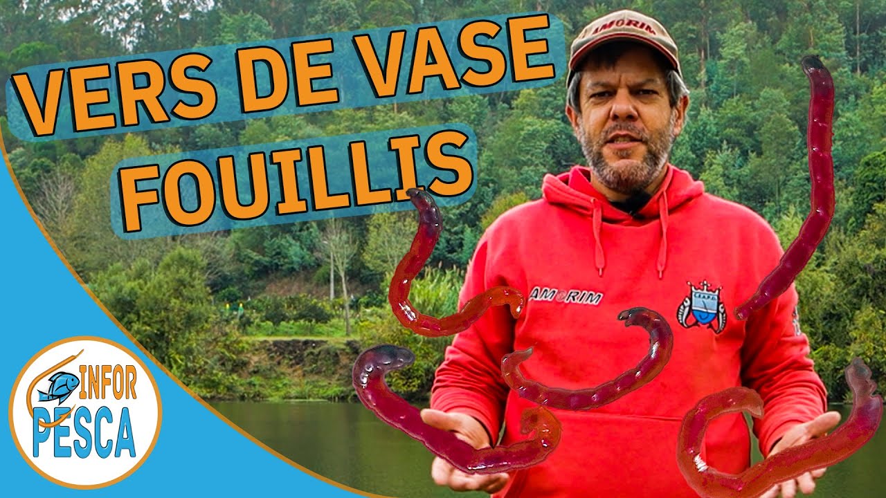 Vers de vase e fouillis - preparar, usar e conservar - YouTube