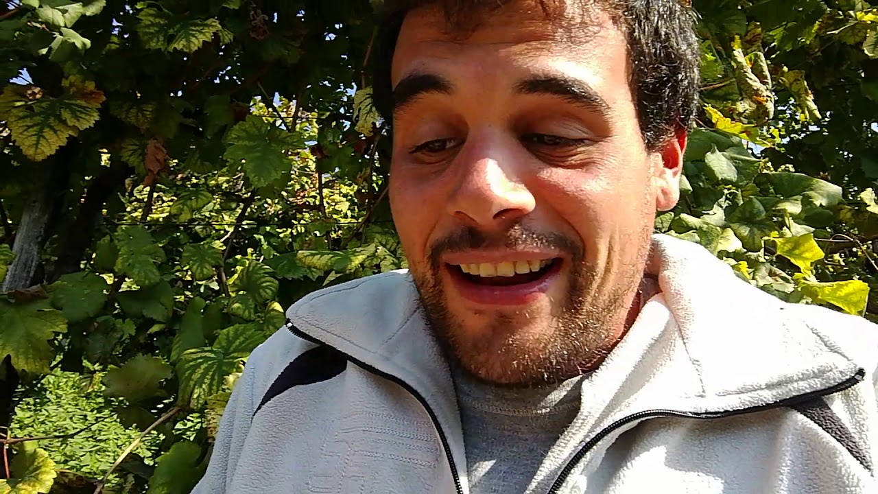 Dai che fon un bel laoro - YouTube