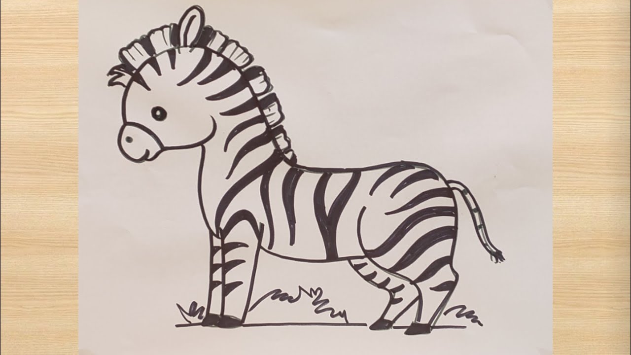 Easy Zebra Pencil Drawing