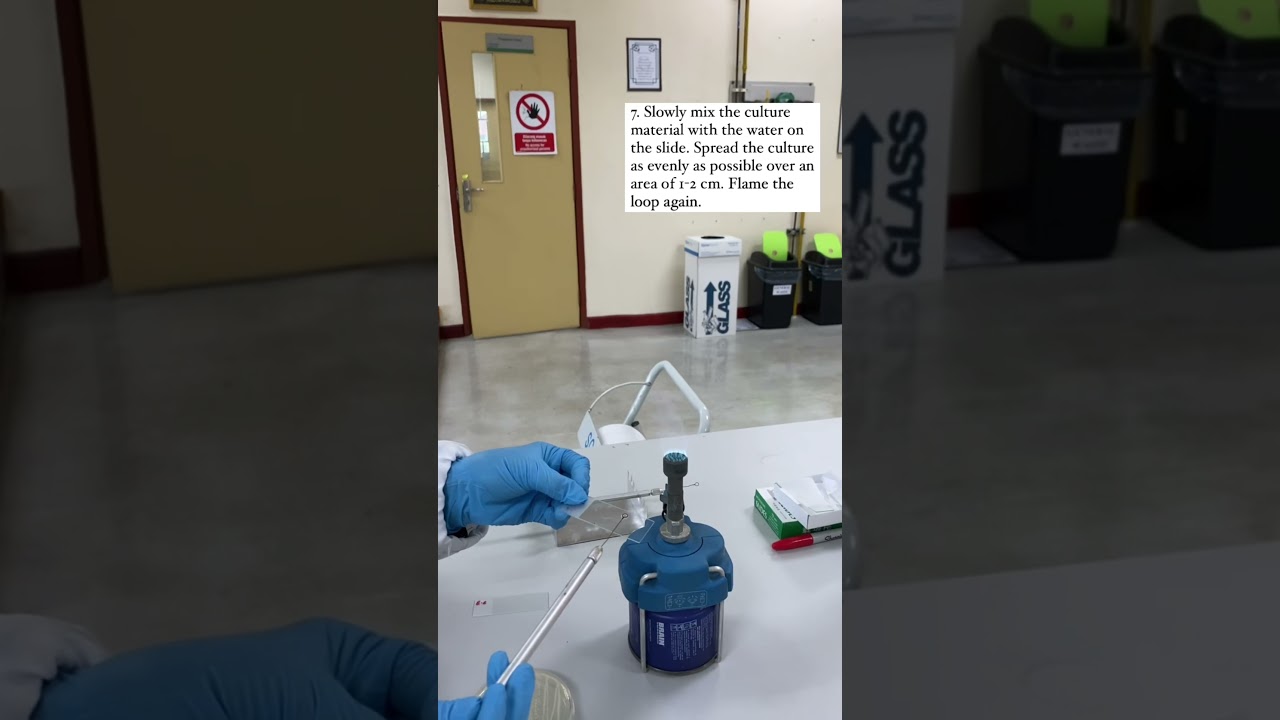 Preparations of smears and simple staining - YouTube