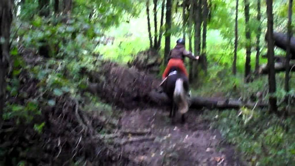 pony jump fail - YouTube