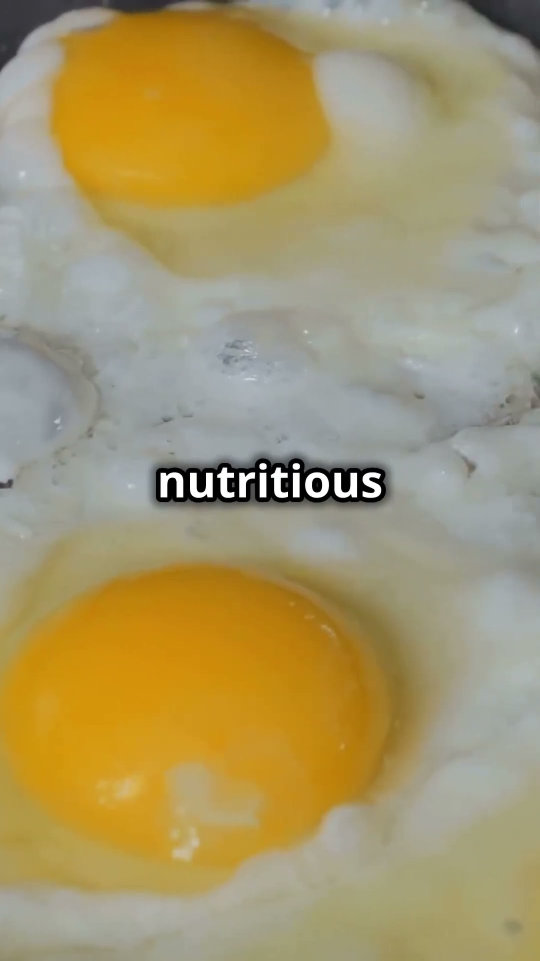 The Incredible Power of Eggs! - YouTube