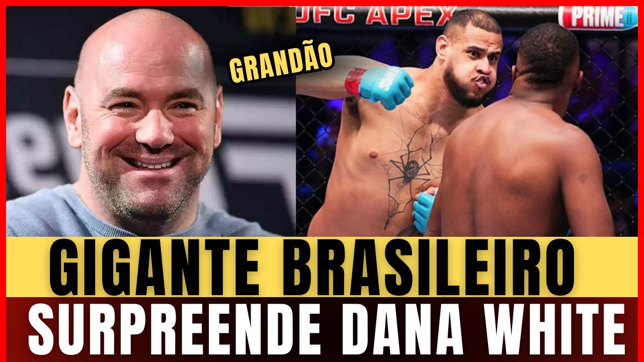 TALISSON TEIXEIRA NOVA PROMESSA DOS PESADOS ASSINA COM UFC - YouTube