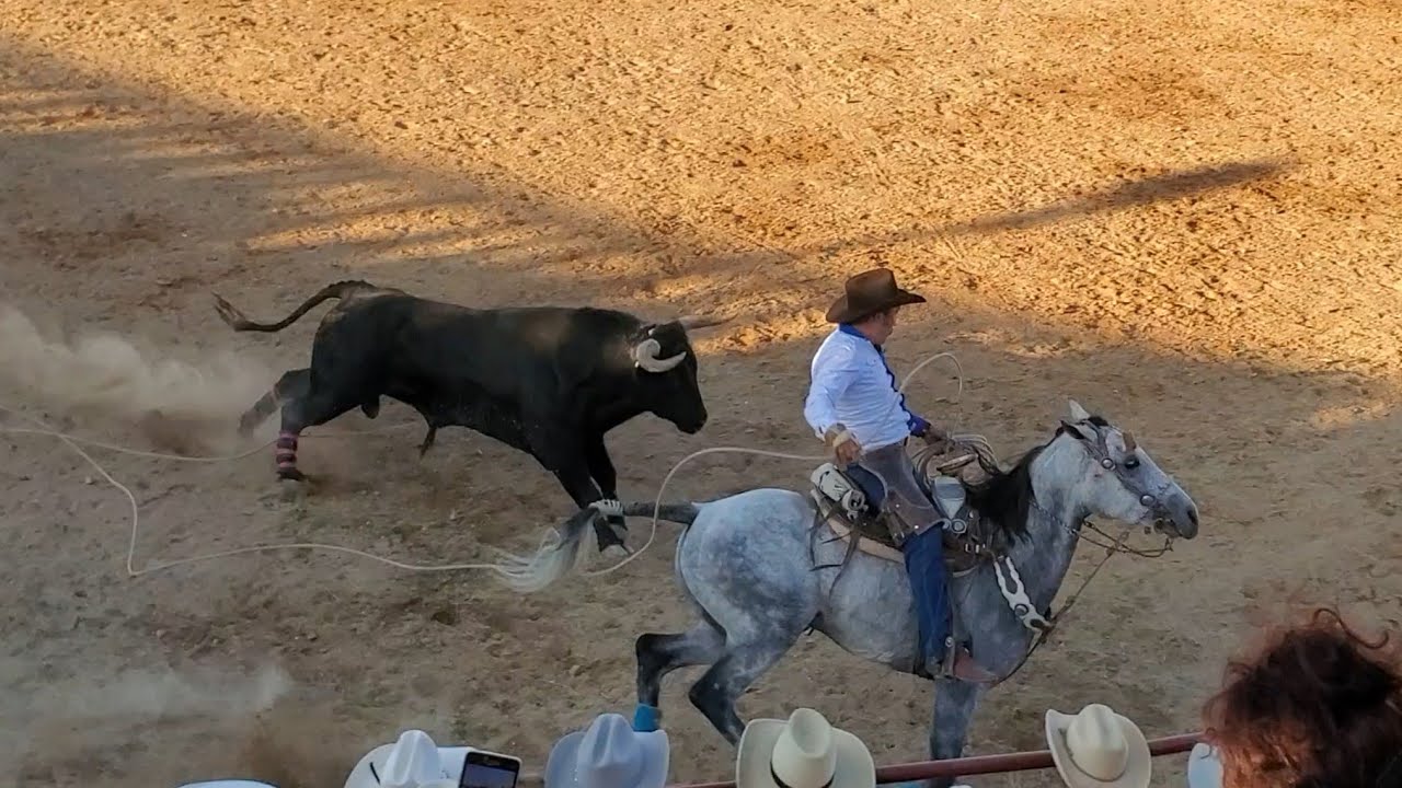 Jaripeo en chucandiro Michoacan 8 de Diciembre 2019 - YouTube
