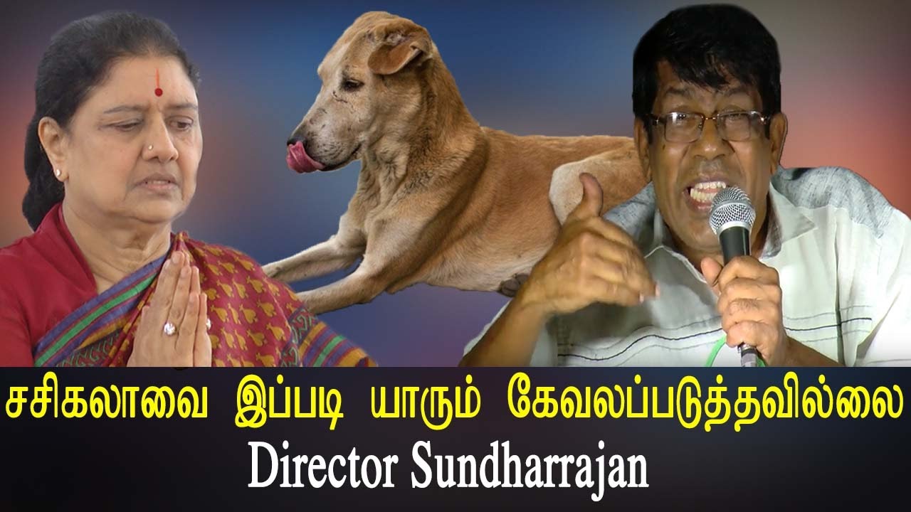 சசிகலாவை இப்படி யாரும் கேவலப்படுத்தவில்லை Director Sundarrajan - Tamil ...
