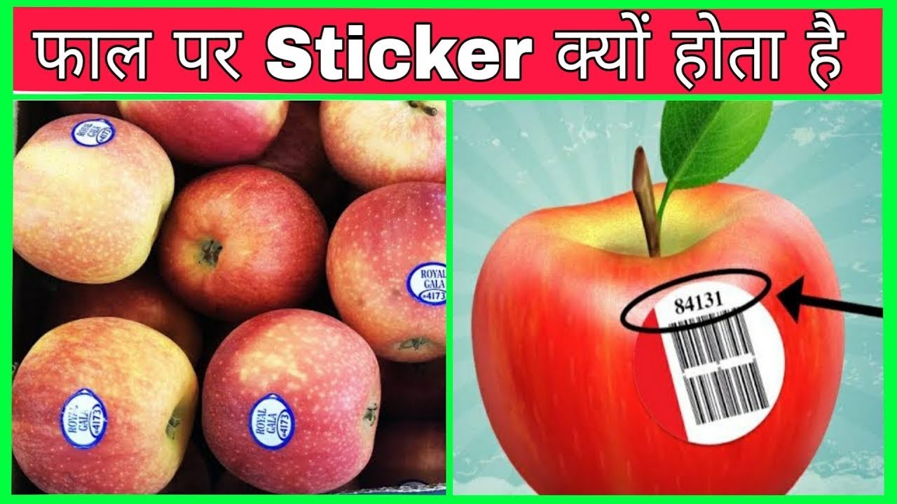 इन stickers का क्या मतलब होता है || PLU Code on fruit || PLU Code in ...