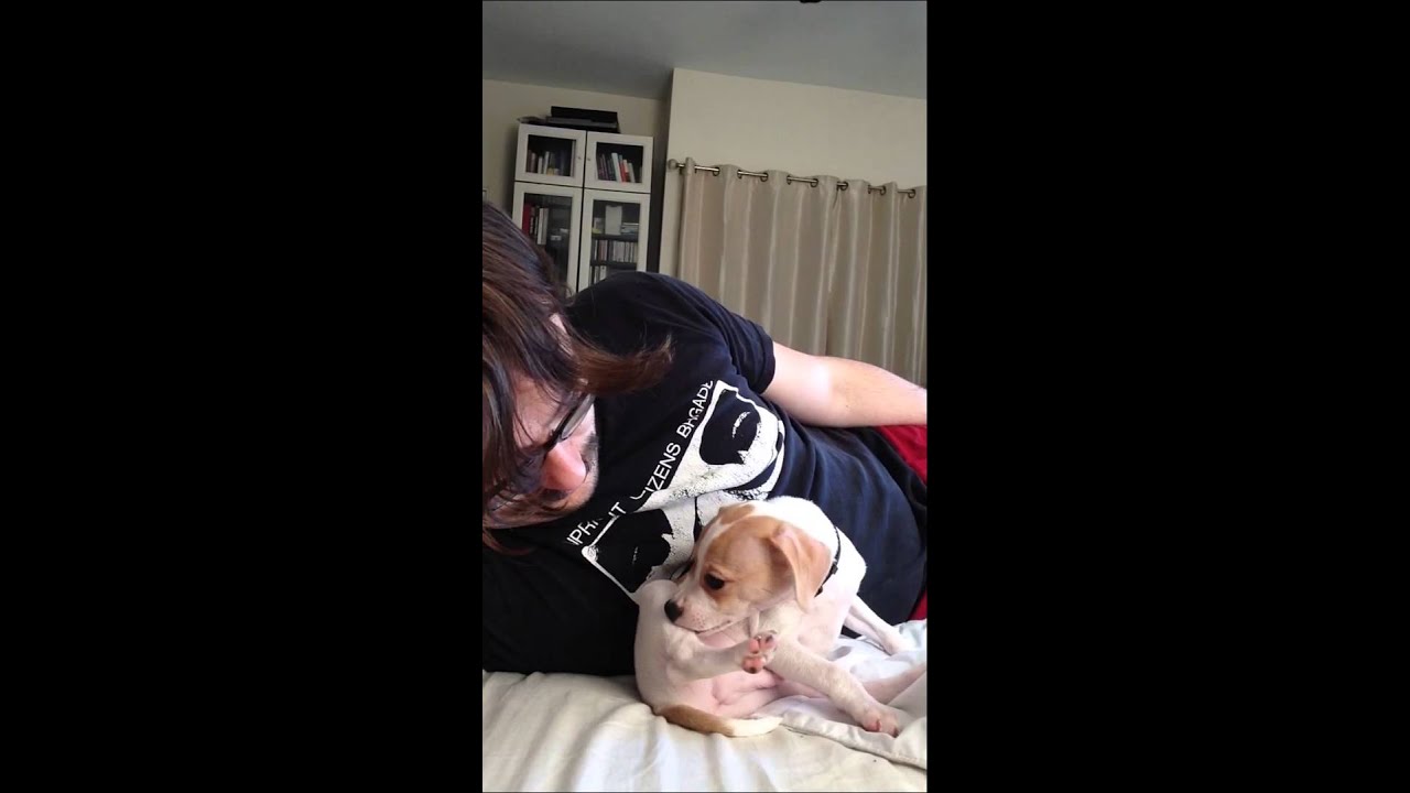 David Barton Harris - YouTube