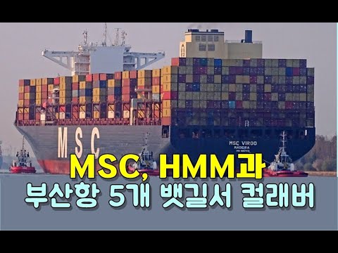 스위스 MSC, HMM과 부산항 5개 뱃길서 컬래버 / KSG NEWS (2024.10.11) - YouTube