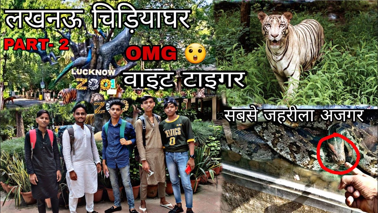 Lucknow zoo park 2022 || lucknow zoo all animals 🦍🐒🐊🦜🐅🦧🐻 nawab Wajid ali shah zoological garden ...