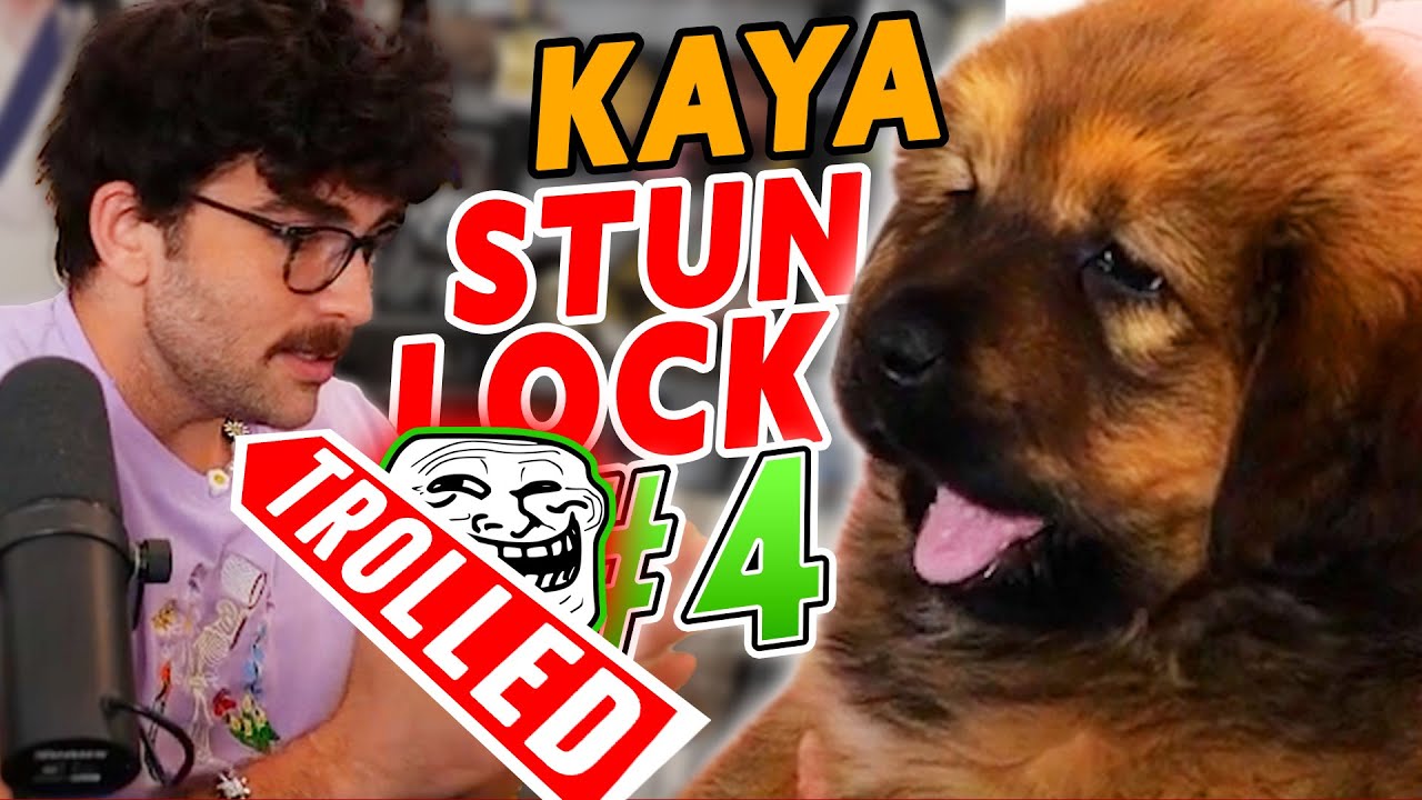 Hasanabi gets STUNLOCKED by KAYA #4 | Dog Troll chatter joins the ...