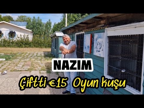 OLAY olay!! Çiftti €15 Oyun kuşu KAÇIRMA